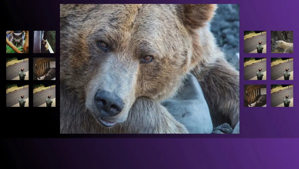 CSS Galleries - Responsive Pure Css Image Gallery With Css Grid example ... CSS Galleries - Responsive Pure Css Image Gallery With Css Grid example ...