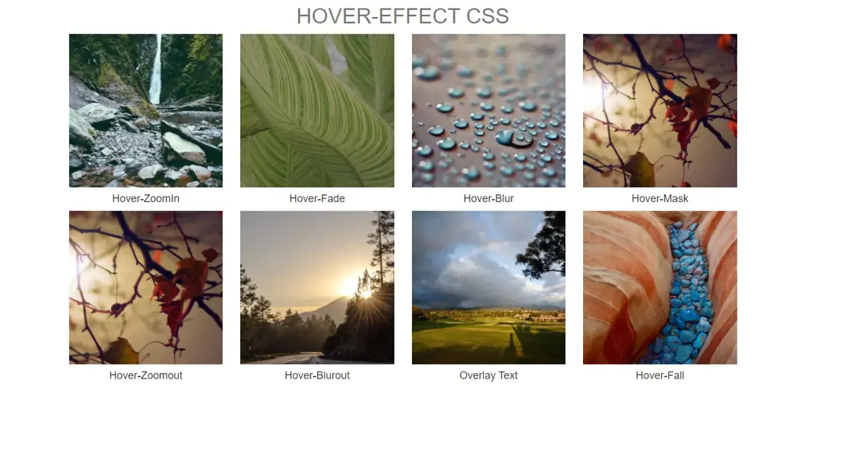 Bootstrap Hover Effects - Hover Effect Css For Bootstrap Gallery ... Bootstrap Hover Effects - Hover Effect Css For Bootstrap Gallery ...