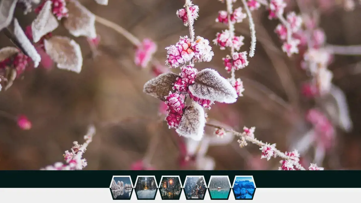 CSS Galleries - Winter Gallery example : CSS Mix